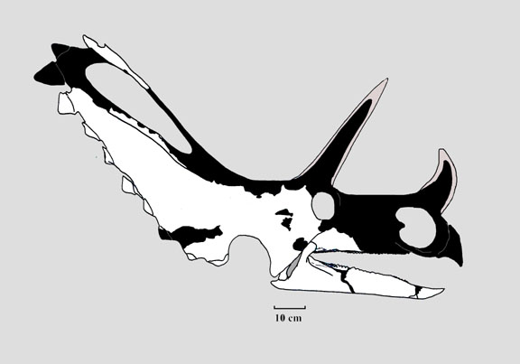 Untitled Document [www.paleofile.com]